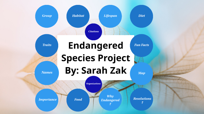Endangered Species Project by Sarah Zak on Prezi