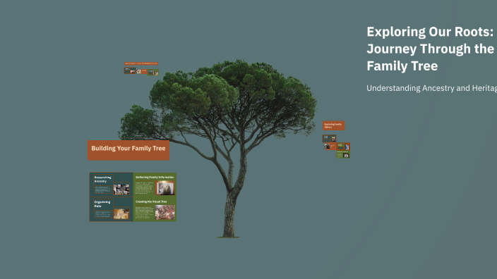 Exploring Our Roots: A Journey Through the Family Tree by Lauren Eyler ... Exploring Our Roots: A Journey Through the Family Tree by Lauren Eyler ...