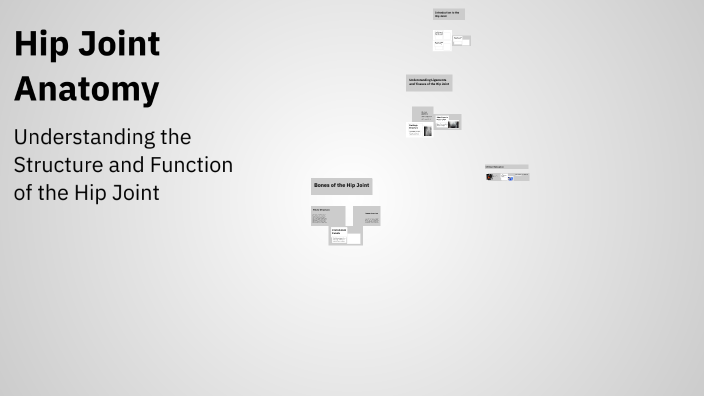 Hip Joint Anatomy by on Prezi