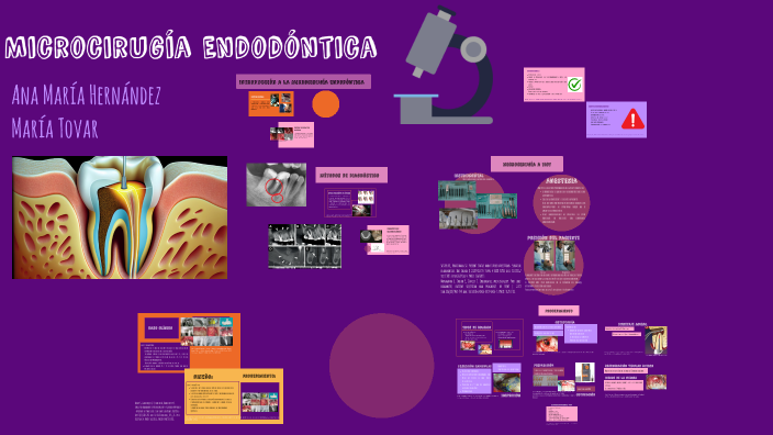 Microcirugía Endodóntica by Ana María Hernández Ardila on Prezi