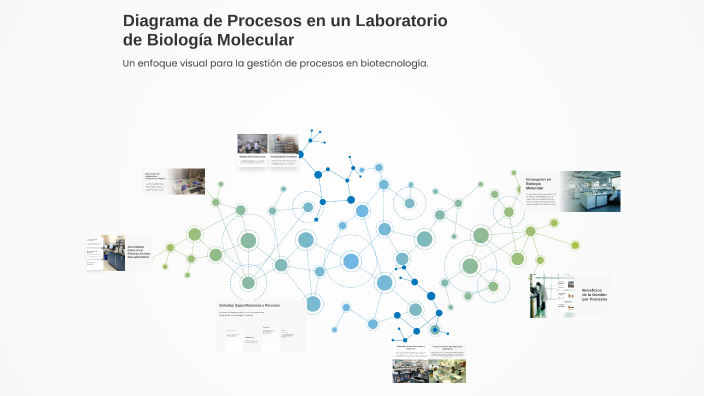 Diagrama de Procesos en un Laboratorio de Biología Molecular by chat111 ...