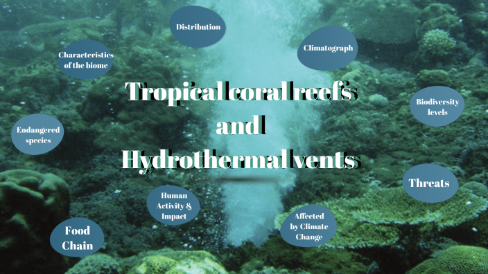 Tropical coral reefs and hydrothermal vents by Hannah zheng on Prezi