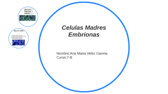 Celulas Madres Embrionas by ana velez on Prezi