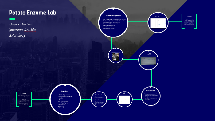 Potato Enzyme Lab by mayra martinez on Prezi