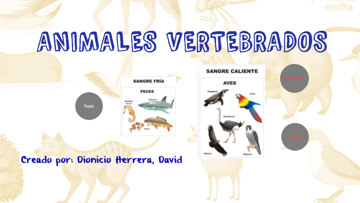 Animales Vertebrados by TI Dionicio Herrera David on Prezi