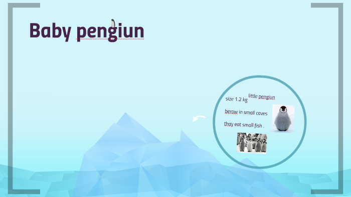 Baby pengiun by Lacey Lindner on Prezi