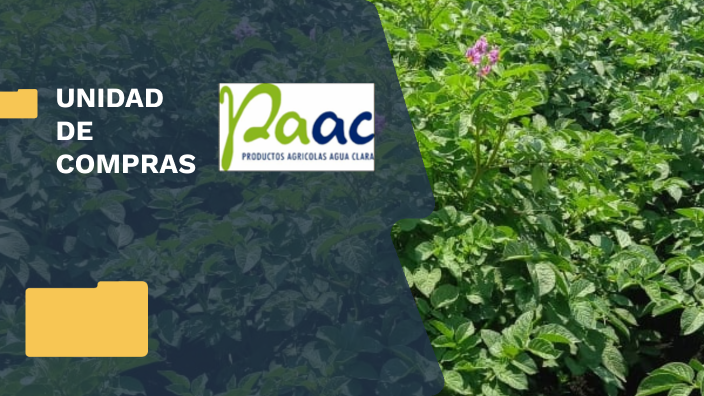 Compras by Alexandra Rozo on Prezi