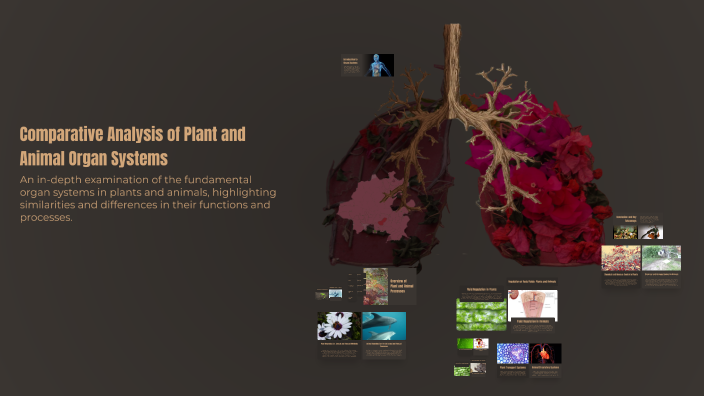 Comparative Analysis of Plant and Animal Organ Systems by Tradio ...