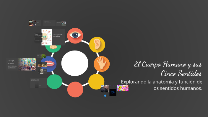 El Cuerpo Humano y sus Cinco Sentidos by Manuel Sánchez on Prezi