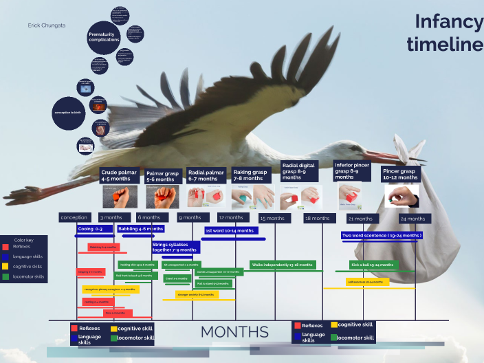 infancy timeline by Erick Chungata on Prezi