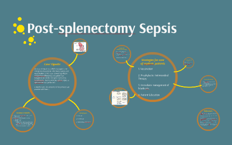 Asplenic Patients and Sepsis by Ann Qiu on Prezi