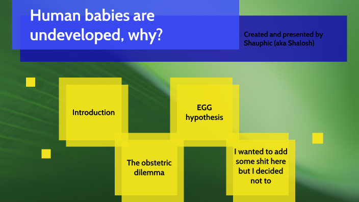 Human babies are undeveloped, why? by Shalev Zuriel on Prezi