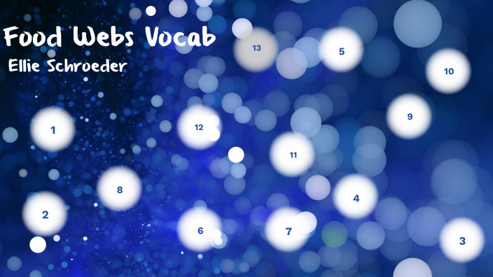 Vocab- Food Webs by Ellie Schroeder
