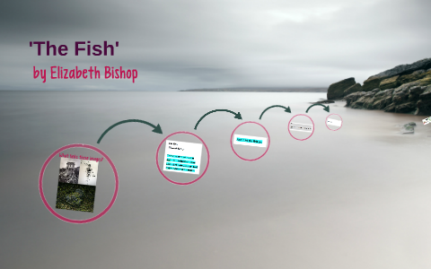 'The Fish' by Elizabeth Bishop by Bethany Sims on Prezi