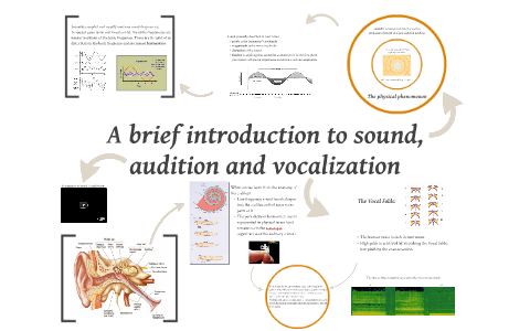 A brief introduction to sound, audition and vocalization by Dor Shilton ...