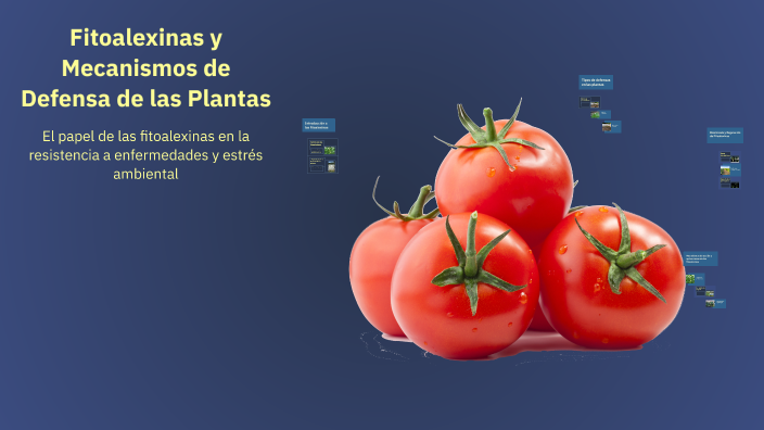 Fitoalexinas y Mecanismos de Defensa de las Plantas by kimberly reyes ...
