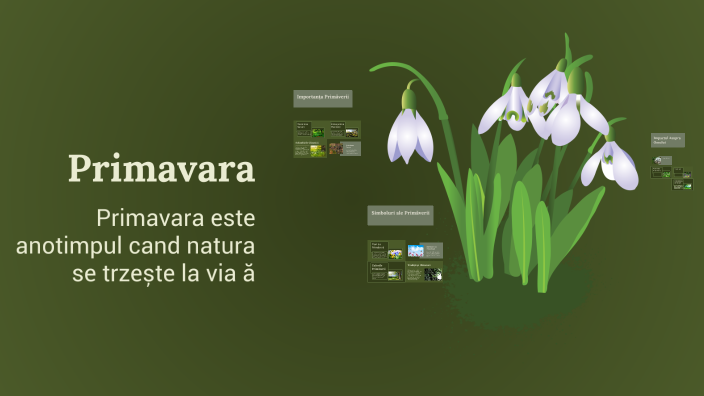 Primavara by Elena Ispas on Prezi