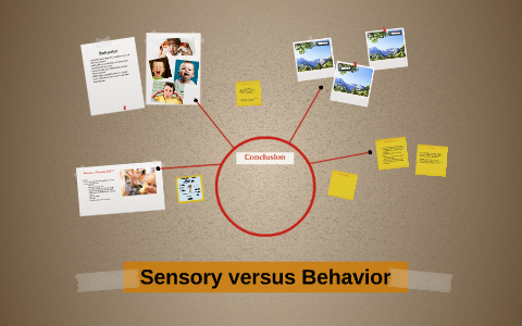 Sensory versus Behavior by Lauren Cummins on Prezi
