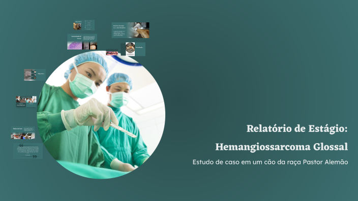 Relatório de Estágio: Hemangiossarcoma Glossal by Daniela Candido Dosso ...