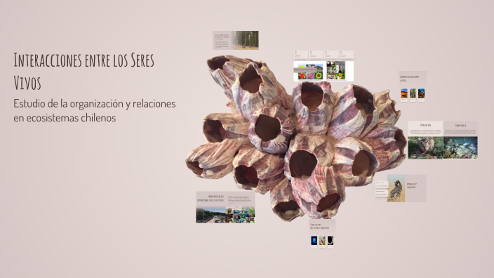 Interacciones entre los Seres Vivos by Franchesca Gajardo on Prezi