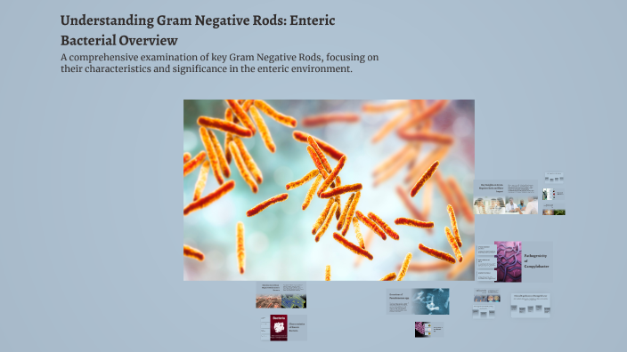 Understanding Gram Negative Rods: Enteric Bacterial Overview by ...
