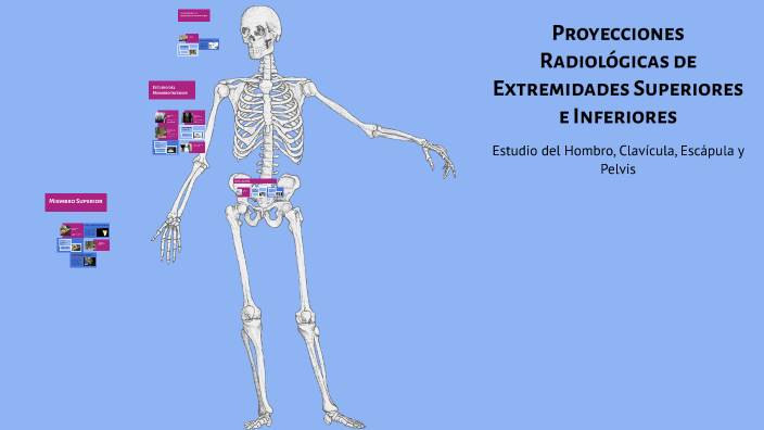 Proyecciones Radiológicas de Extremidades Superiores e Inferiores by ...