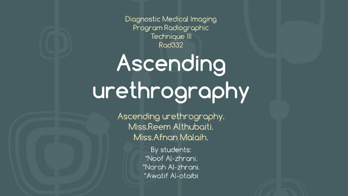 Ascending urethrography. by awatif saleh on Prezi
