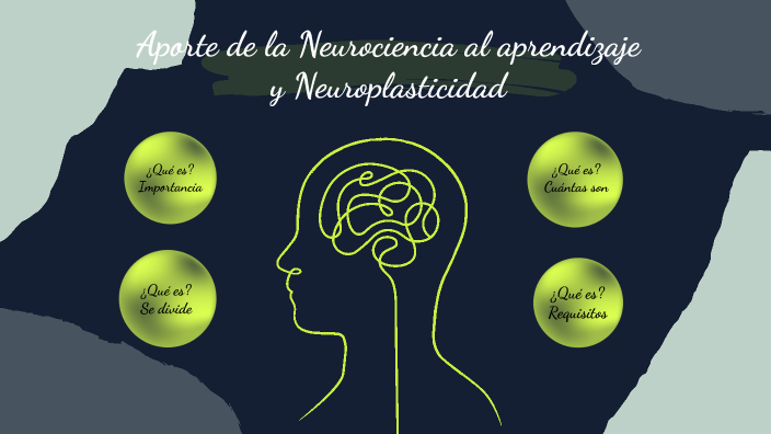 Neurociencia y Neuroplasticidad by Lucy Monge on Prezi