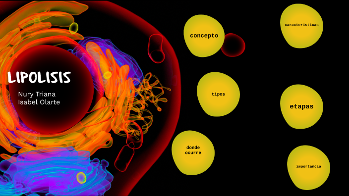 lipolisis by Nury Triana on Prezi