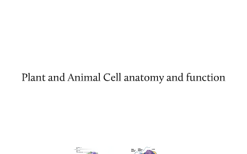 AP Biology Cell Structure and Function by Danya Haran on Prezi