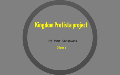 Kingdom Protista Project by Jesus Chrystler on Prezi