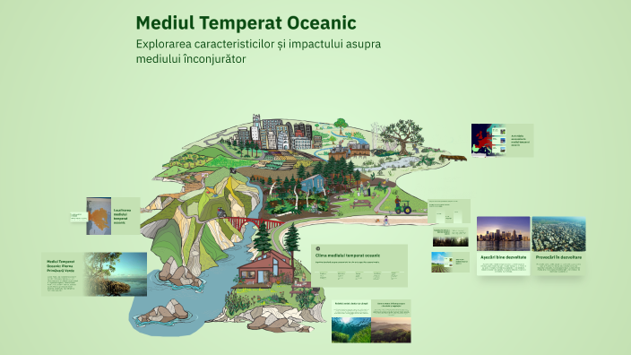 Mediul Temperat Oceanic by sabadsag daiana on Prezi