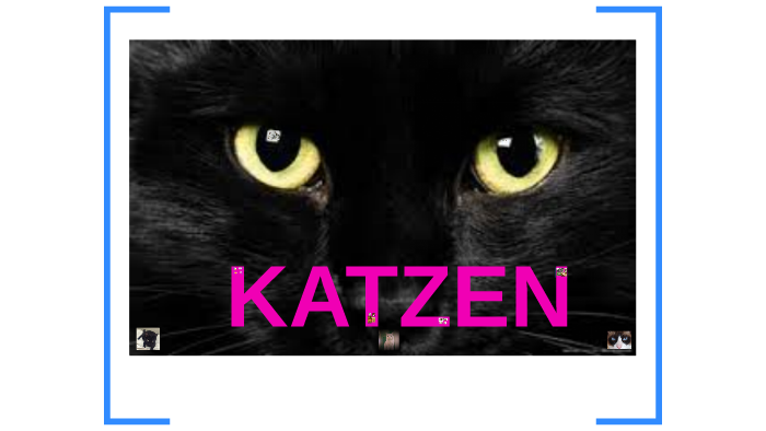 KATZEN by Ginger Rendon on Prezi