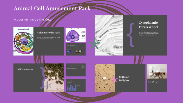 Animal Cell Amusement Park by Ariana French on Prezi