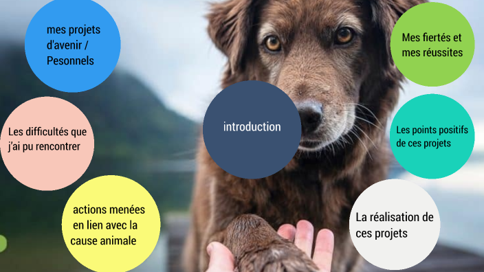 la cause animal oral du DNB by ilona Siebenhuner on Prezi