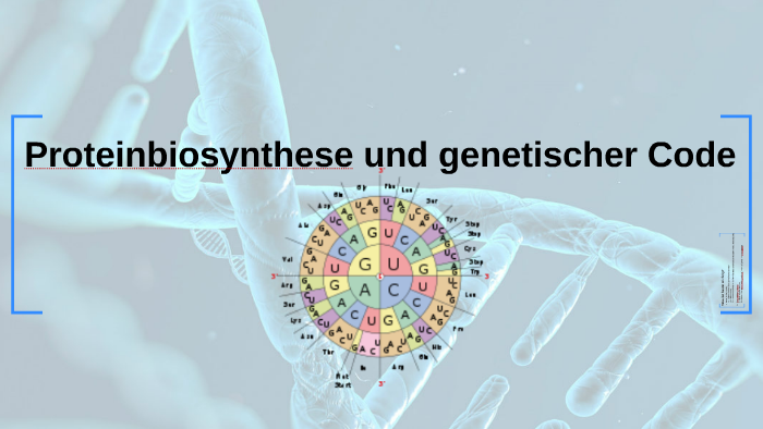 Bio 10 Proteinbiosynthese und genetischer Code by Oliver Rohleder on Prezi