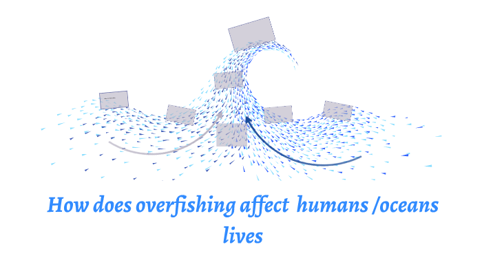How does overfishing affect humans /oceans lives by manisha singh on Prezi