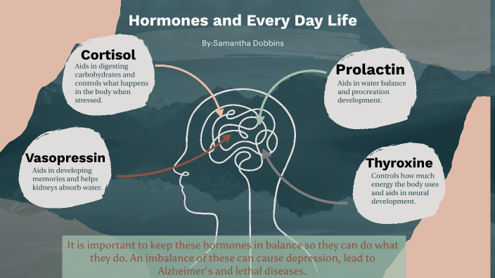 Hormones and their effect on the BRAIN by Samantha Dobbins on Prezi