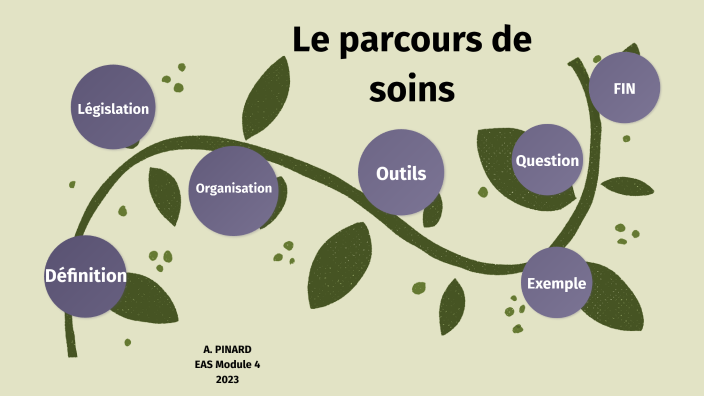 Le parcours de soins by alice pinard on Prezi Le parcours de soins by alice pinard on Prezi