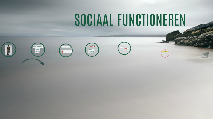 SOCIAAL FUNCTIONEREN by Ruud Brans on Prezi