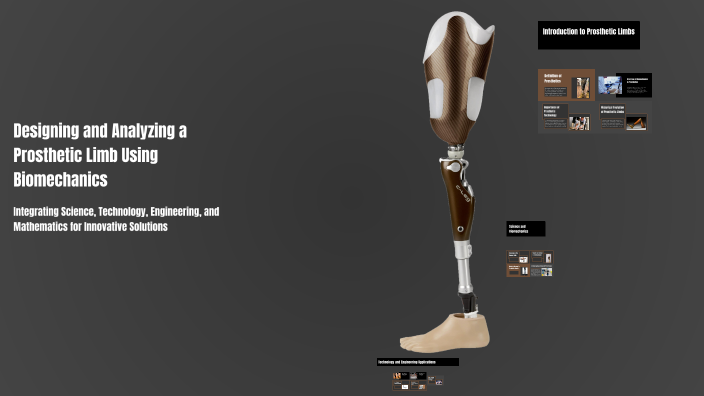 Designing and Analyzing a Prosthetic Limb Using Biomechanics by doha ...