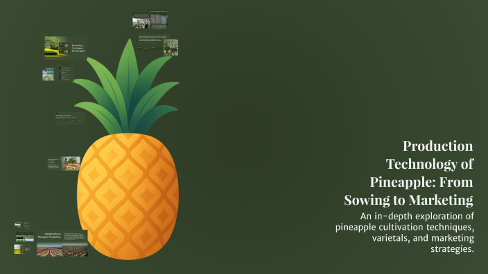 Production Technology of Pineapple: From Sowing to Marketing by Smart ...