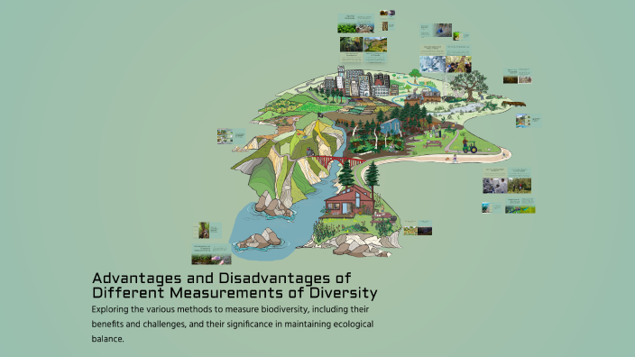 Advantages and Disadvantages of Different Measurements of Diversity by ...