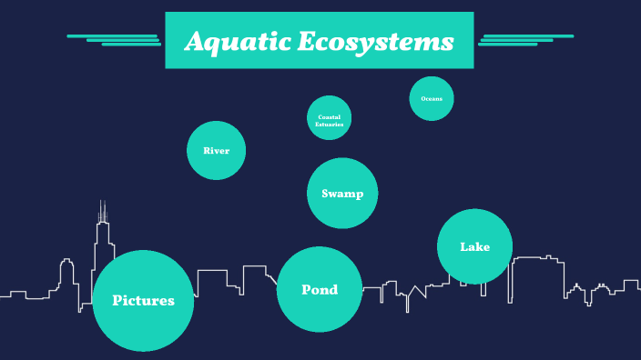 Aquatic Ecosystem by A'bria Moore on Prezi