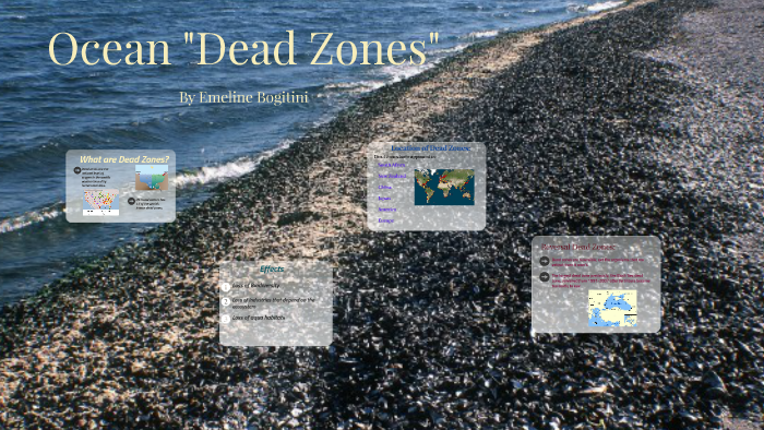 Ocean "Dead Zones" by Emeline Bogitini