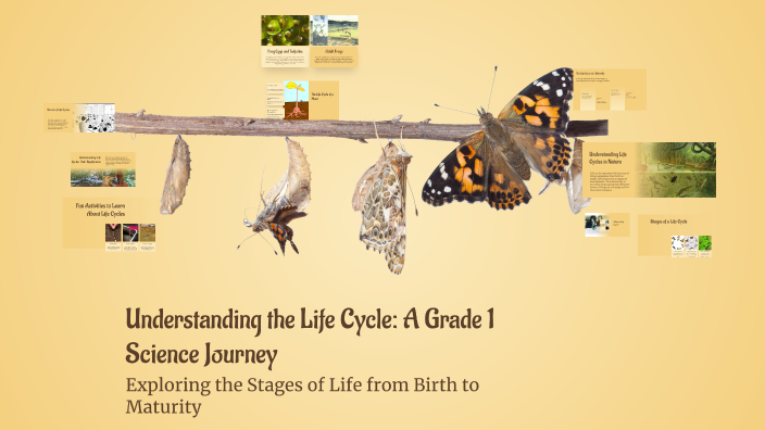 Understanding the Life Cycle: A Grade 1 Science Journey by teodora ...