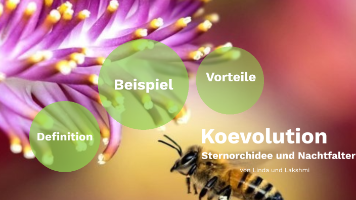 Koevolution by Laki Siva on Prezi