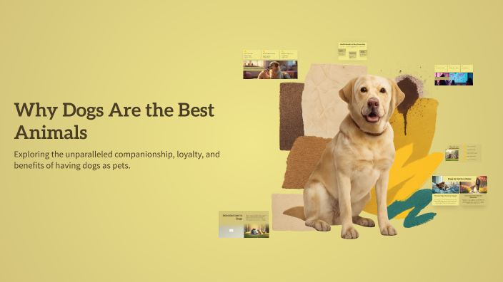 Why Dogs Are the Best Animals by Jenna Dykstra on Prezi