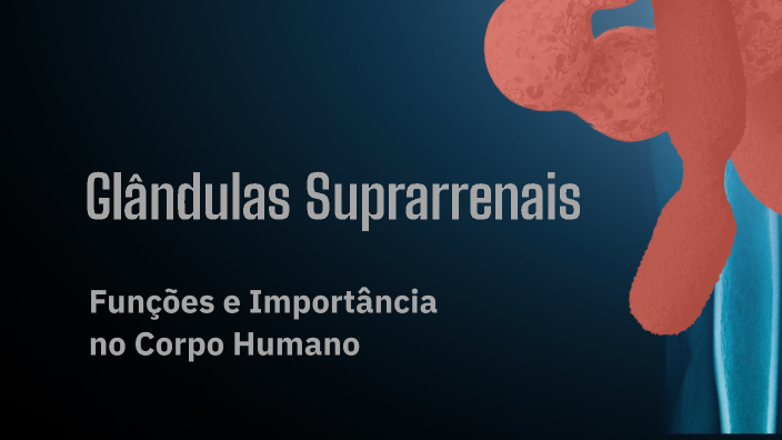 Glândulas Suprarrenais by glenda beatriz on Prezi