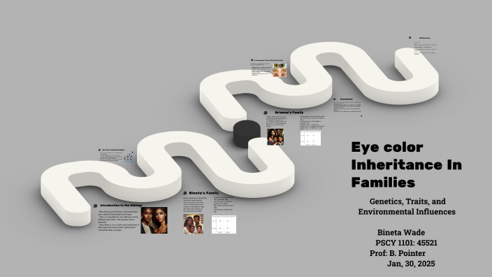Eye color Inheritance In Families by on Prezi
